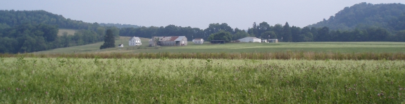 Welcome to Wirt County, West Virginia!